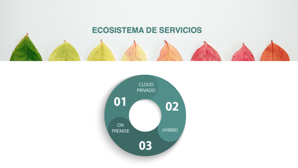 Ozona Tech – Transformación digital